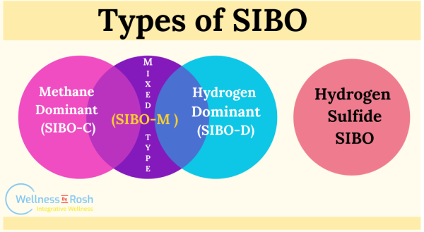 Do You have Small Intestinal Bacterial Overgrowth (SIBO)? - Wellness By ...