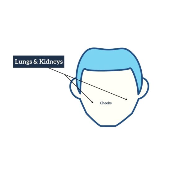 Face Mapping: Your Face is a Mirror of Your Health - Wellness By Rosh ...