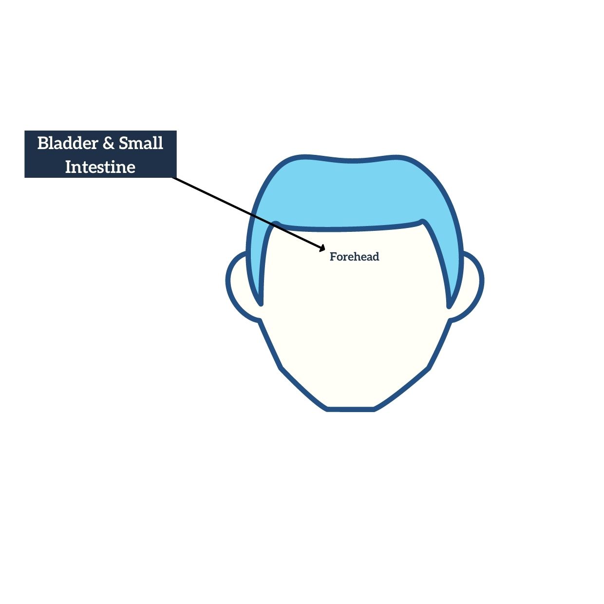 Face Mapping: Your Face is a Mirror of Your Health - Wellness By Rosh ...