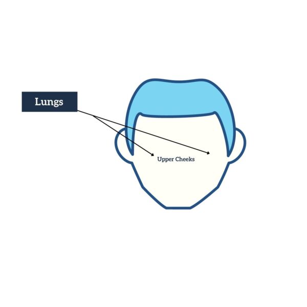 Face Mapping: Your Face is a Mirror of Your Health - Wellness By Rosh ...