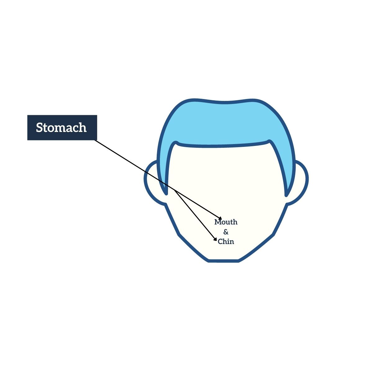 Face Mapping: Your Face is a Mirror of Your Health - Wellness By Rosh ...