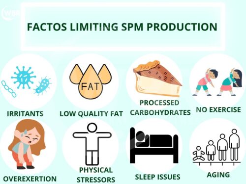 Role of SPMs in Reducing Pain and Inflammation - Wellness By Rosh ...