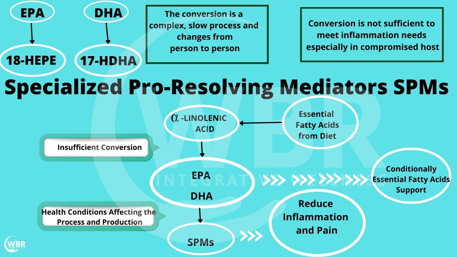 Role of SPMs in Reducing Pain and Inflammation - Wellness By Rosh ...