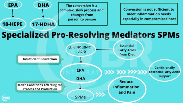 Role of SPMs in Reducing Pain and Inflammation - Wellness By Rosh ...