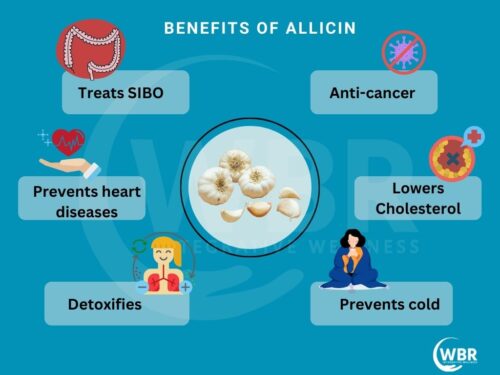 Benefits of Allicin