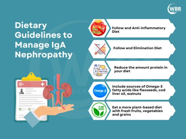 IgA Nephropathy and its Functional medicine approach