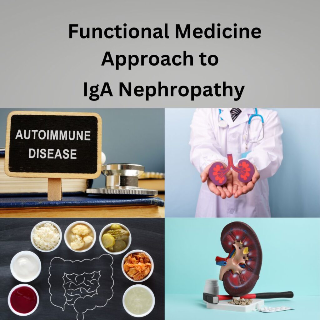 IgA Nephropathy and its Functional medicine approach
