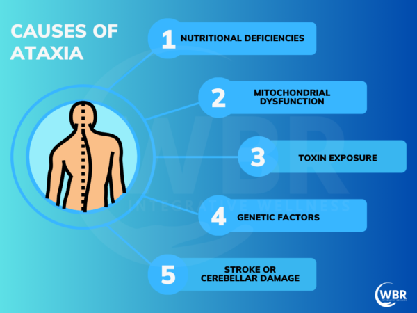 Nutritional and Functional Medicine Approach for Ataxia - Wellness By ...